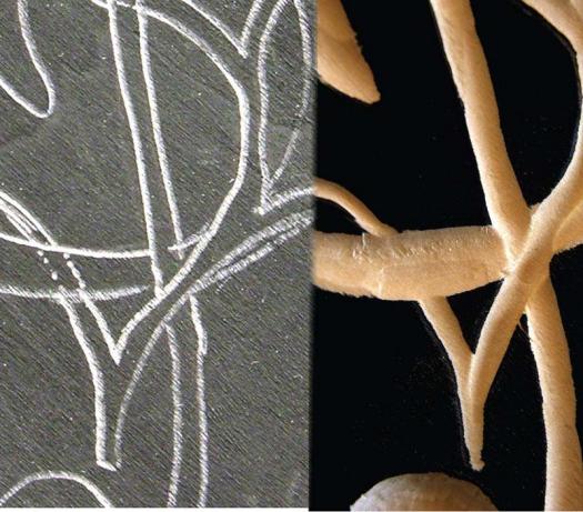 Intaglio revisited - Canadian Woodworking