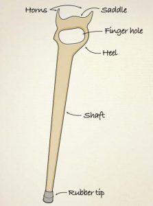 Cane Saw - Canadian Woodworking