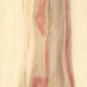 Elm - Canadian Woodworking