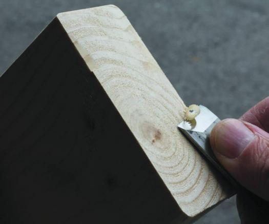 Work Sharp WS3000 - Canadian Woodworking