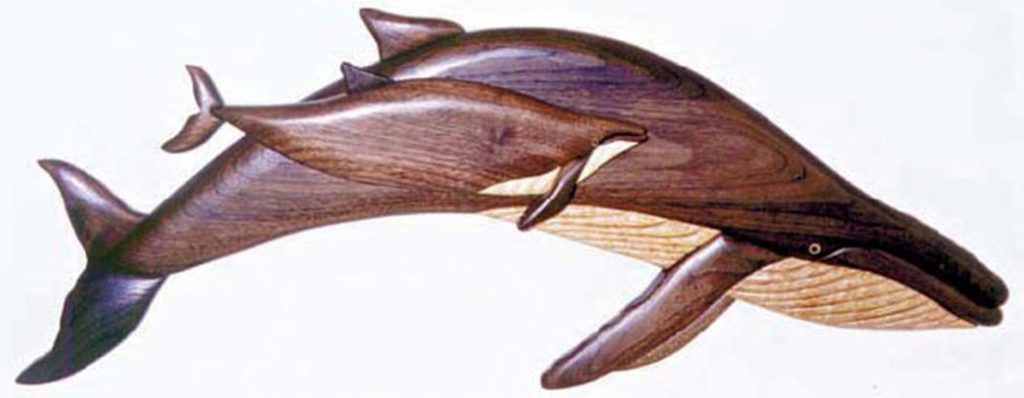 Humpbacked whales - Canadian Woodworking