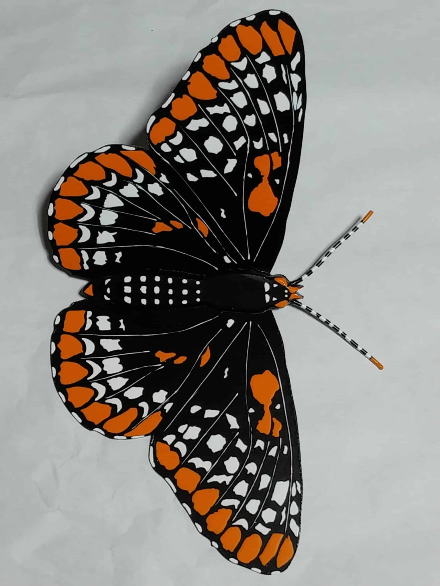 Baltimore checkerspot butterfly - Canadian Woodworking