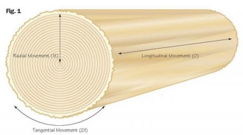 Wood movement – the basics - Canadian Woodworking