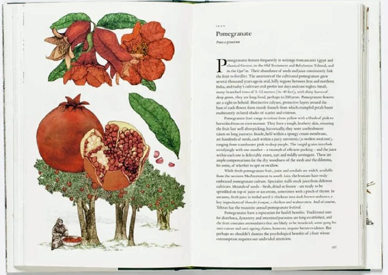 Around the world in 80 trees - Canadian Woodworking