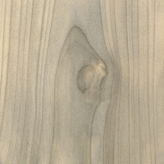 Palm - Canadian Woodworking