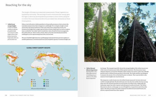 The world atlas of trees and forests: exploring earth’s forest ...