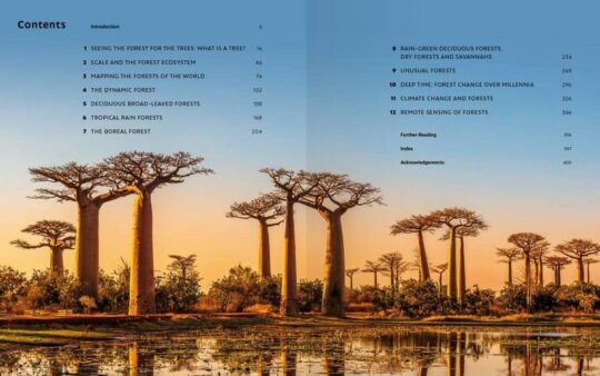 The world atlas of trees and forests: exploring earth’s forest ...