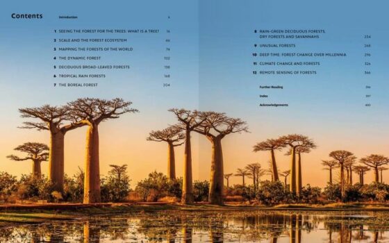 The world atlas of trees and forests: exploring earth’s forest ...