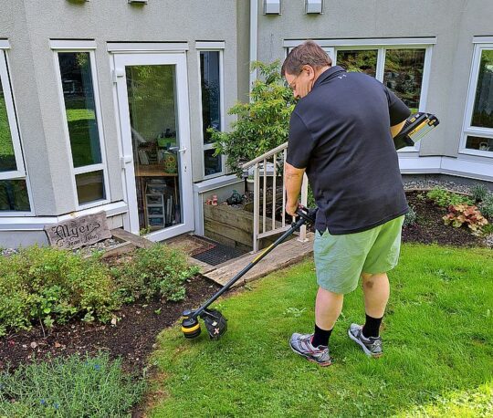 CAT 60V line trimmer - Canadian Woodworking